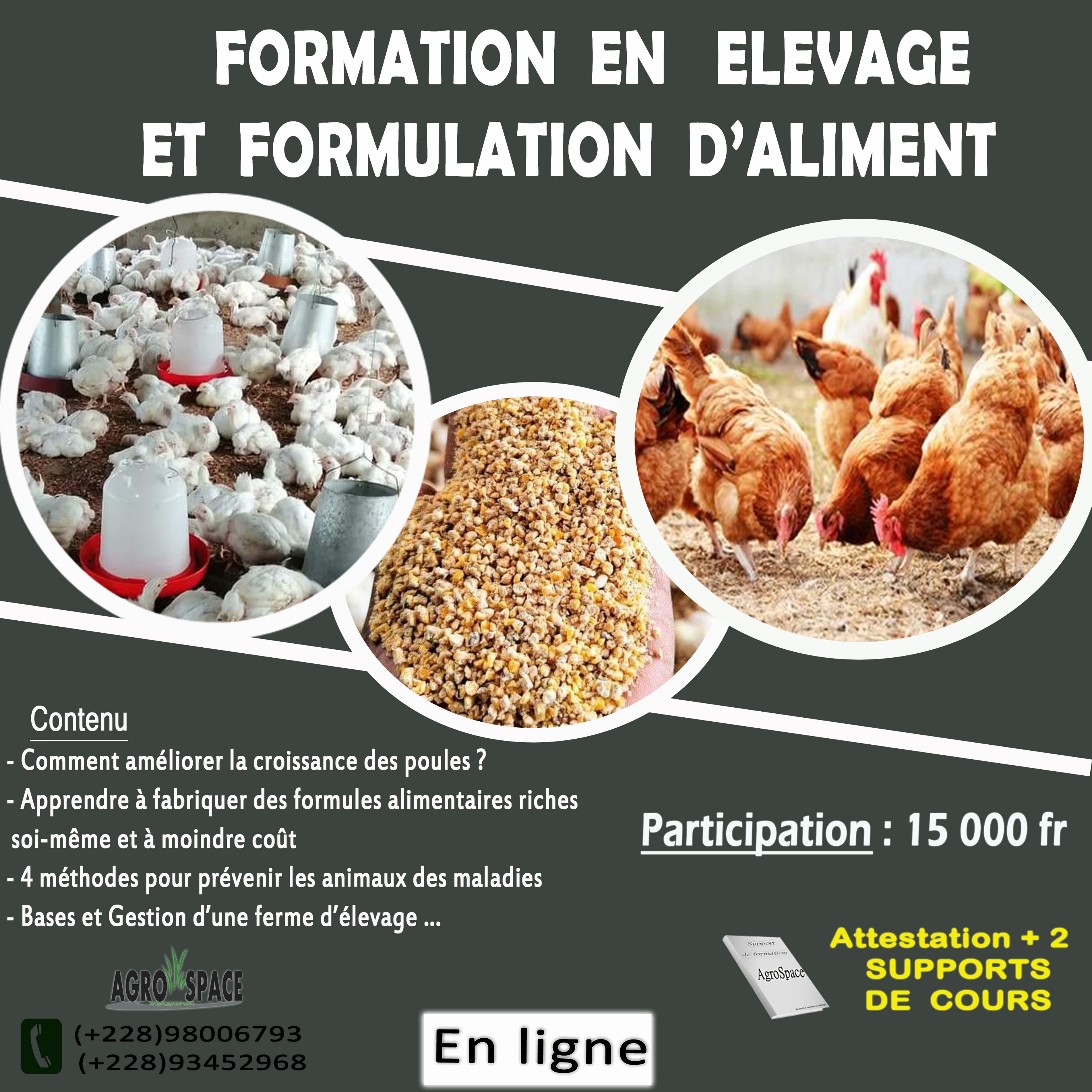 Formation: Les clés pour réussir l'élevage de Poulet de chair et poules ... Formation: Les clés pour réussir l'élevage de Poulet de chair et poules ...