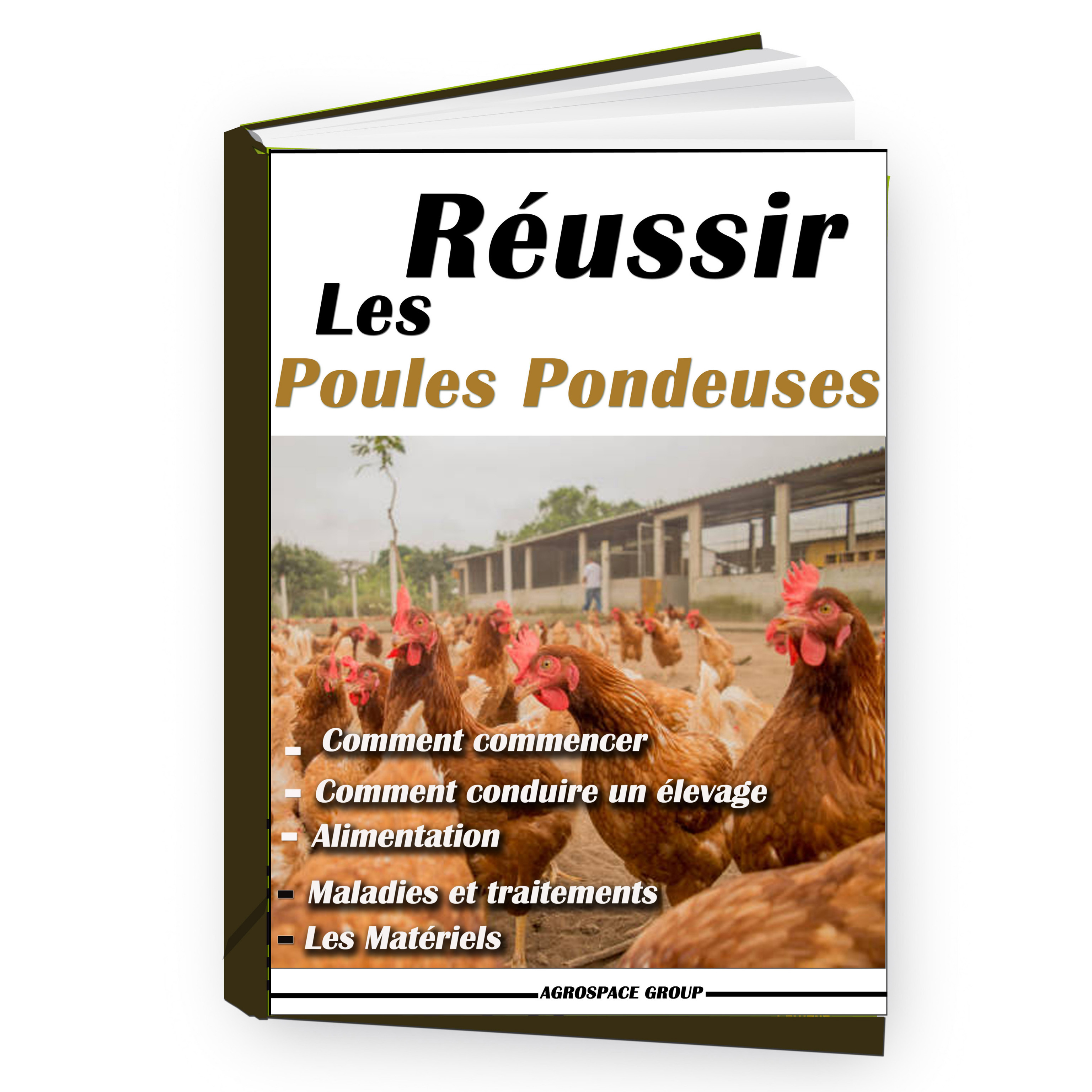 Maîtriser et réussir l'elevage des poules pondeuses en Afrique - Aviculture